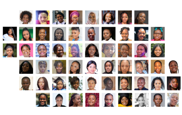 Courses - Digital Skills for Africa